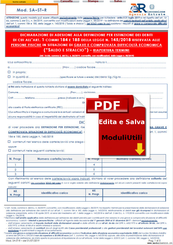 Modello Saldo e Stralcio editabile 2019 moduli editabili pdf